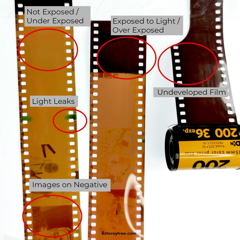 Information – Page 2 – 8storeytree