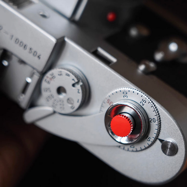 8storeytree | Film Cameras in Singapore